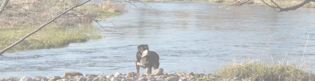 Implementation Projects - MOHAWK RIVER WATERSHED